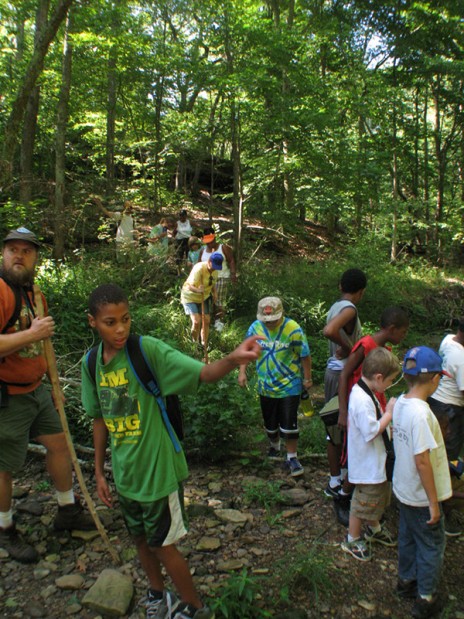 Cub Scouts hike to view prehistoric rock art | Plus Edition ...