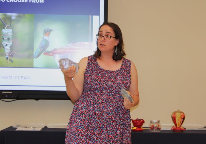 How to make your yard a hummingbird haven | Latest Headlines ...