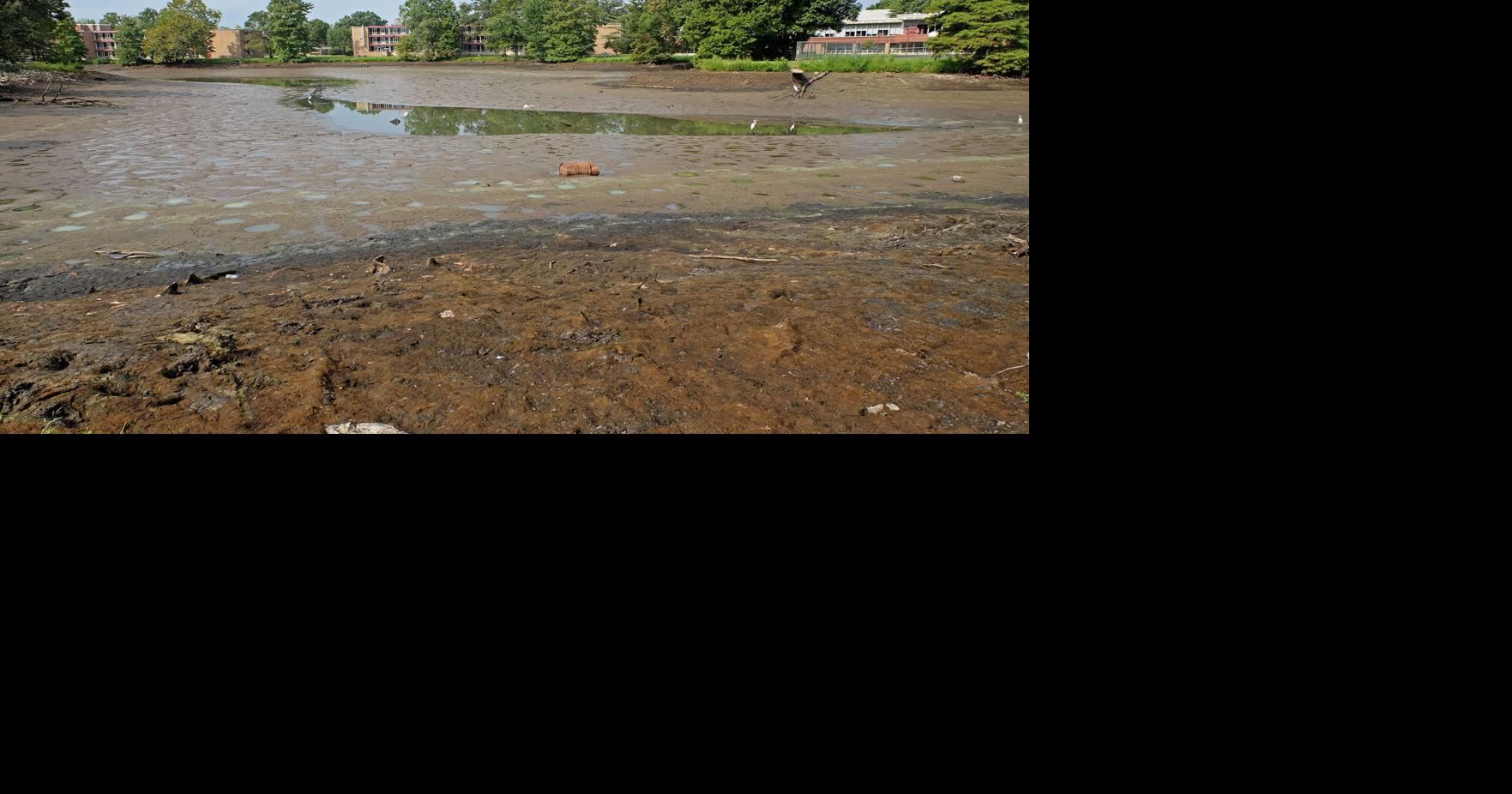 Fixing Campus Lake: SIU officials reflect on what lake means to ...