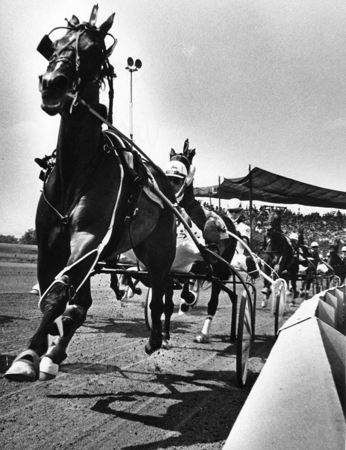 As prize money dries up, so does harness racing | Local News ...