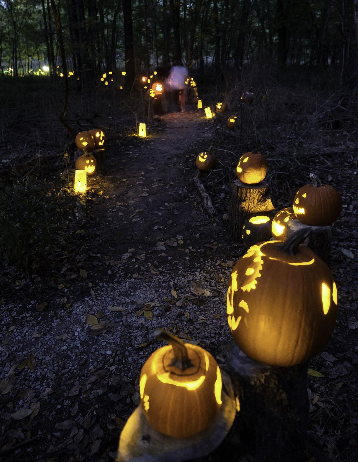 Photos: Pumpkin Glow Hike in Carbondale | Local News | thesouthern.com