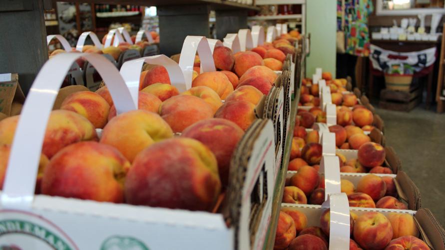 Taste | Peaches | Food-and-cooking | thesouthern.com