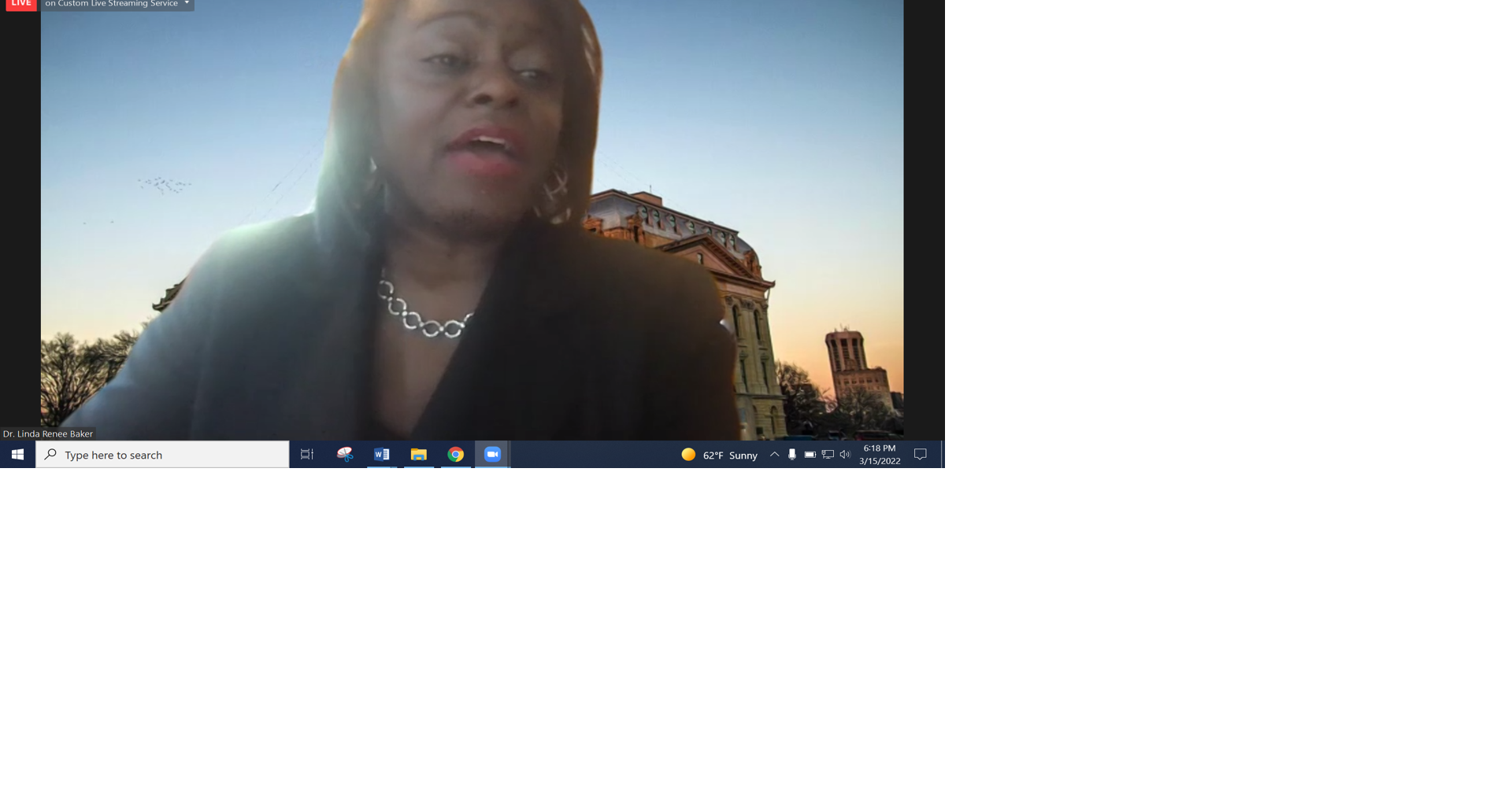SIU professor says fight for voting rights continues | SIU ...