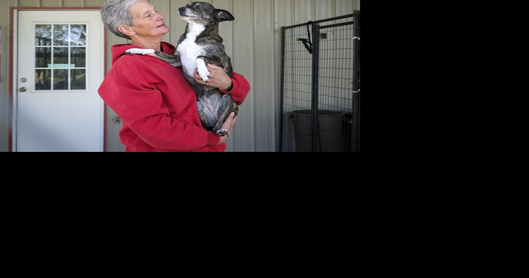 'Dreams do come true': PAWS nears completion of new animal shelter in ...