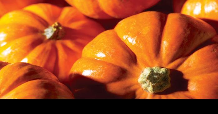 In Season Pumpkins