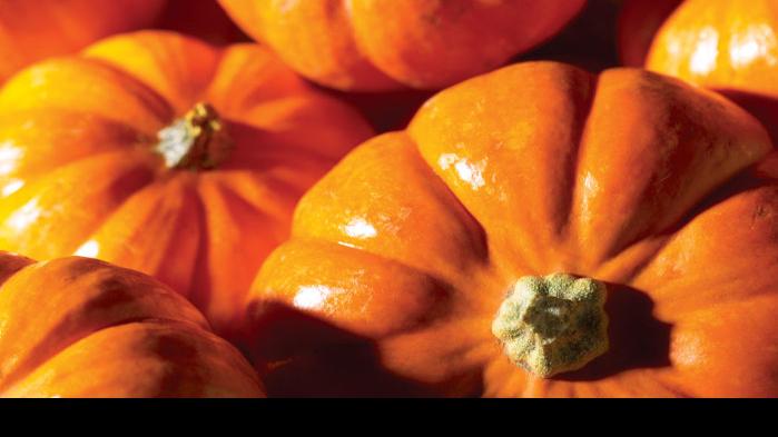 In Season Pumpkins | Cooking | thesouthern.com