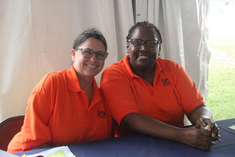 DCFS celebrates 39th foster and adoptive family picnic | Latest ...