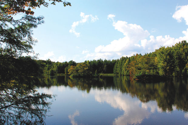 Getting lost in the Shawnee | Magazine | thesouthern.com