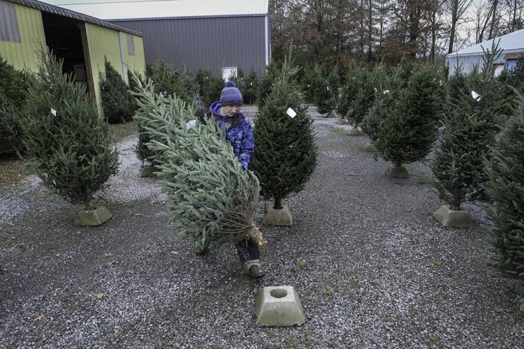 Go to Wiswell's Christmas Tree Farm for holiday trees | Herrin ...