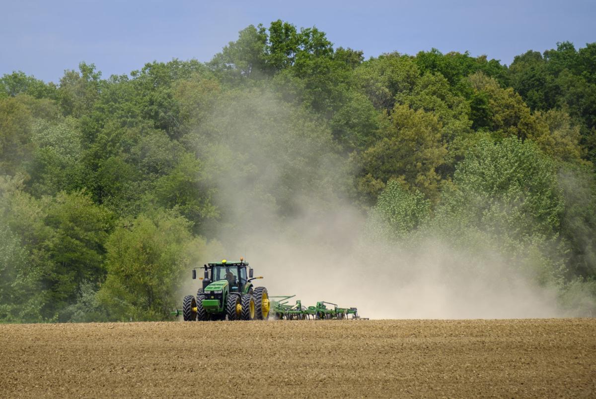 Few local farmers are focusing on cutting production costs for 2020 ...
