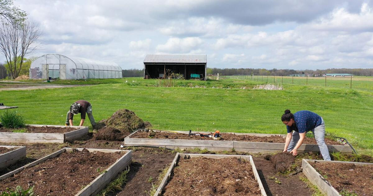 SIU honors students will participate in USDA-funded initiative on food ...