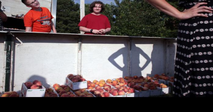 It's all about the cobbler at Cobden Peach Festival