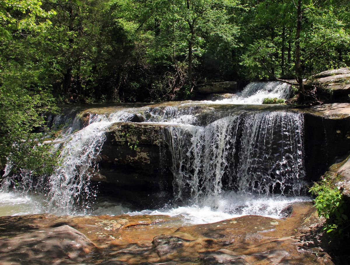 Photos: Spring in Southern Illinois | Photo Galleries | thesouthern.com