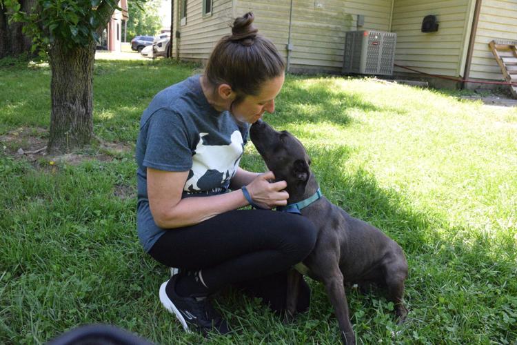Veterans dog program seeks local loving home | Latest Headlines ...