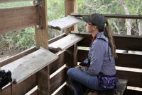 texas big year record