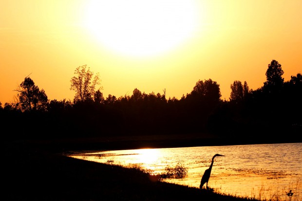 Mermet Lake a great place for all | Sports | thesouthern.com