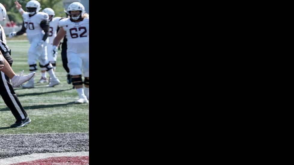 SIU Football | Dawgs host Nicholls State in FCS first round | College ...