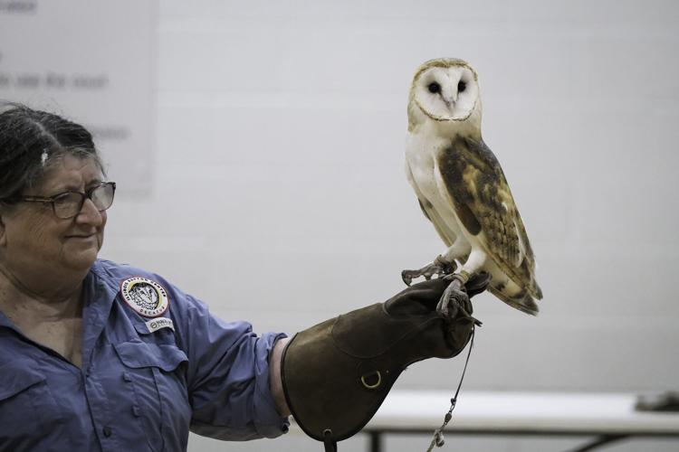 Children learn about birds of prey during program at The Hub | Marion ...