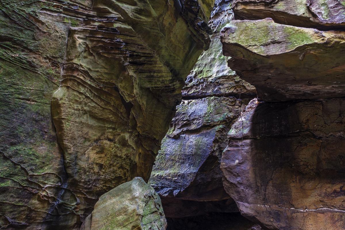 Photos: Exploring Panther Den Wilderness | Outdoors | thesouthern.com