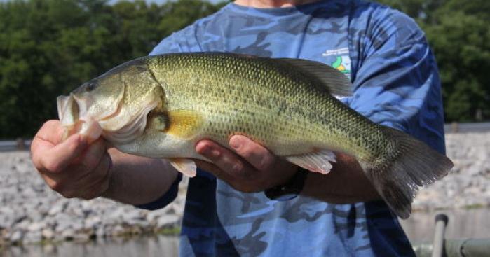 Dolan Lake gets a fresh start | Sports | thesouthern.com