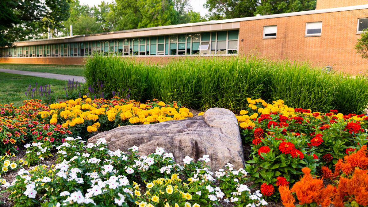 SIU Carbondale earns national honors for assisting transfer students ...