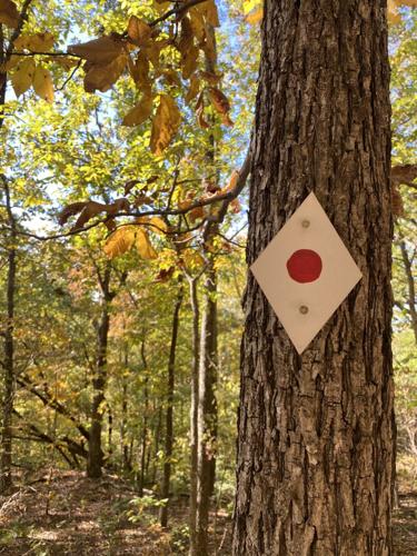 The Fall Red Cedar Backpacking Trail Challenge starts this month ...