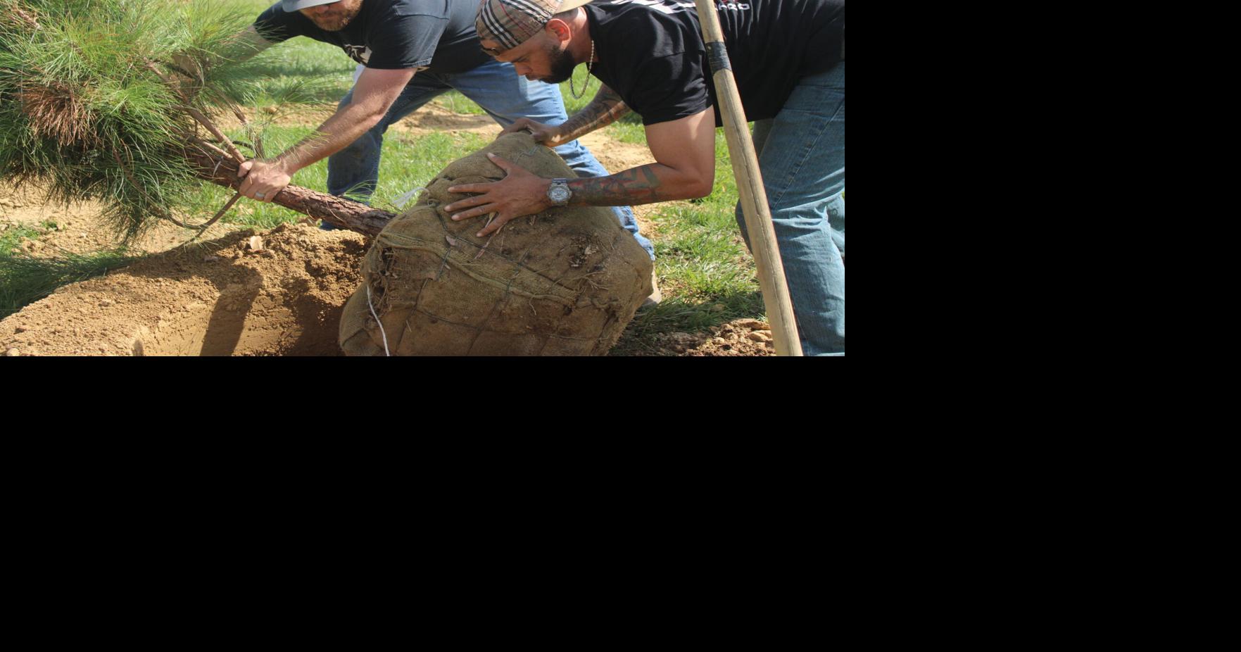 Earth Day tree planting turns new leaves at SIU | Life & Entertainment ...