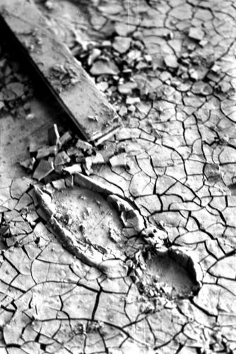 Valmeyer rises from the depths years after flood