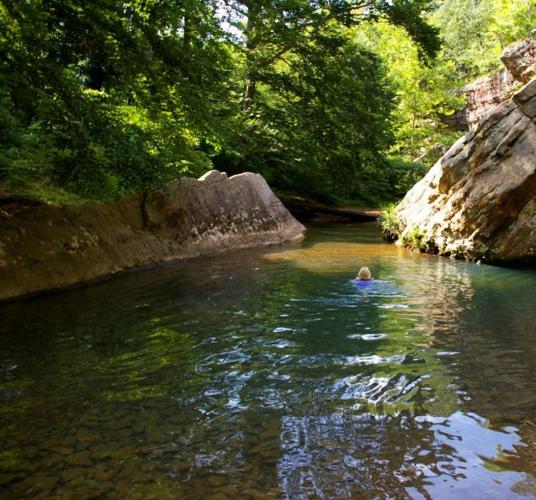Bell Smith Springs is a slice of heaven on earth | Recreation ...