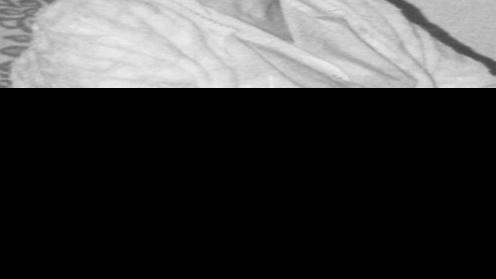 Betty Preston | Obituaries | thesouthern.com