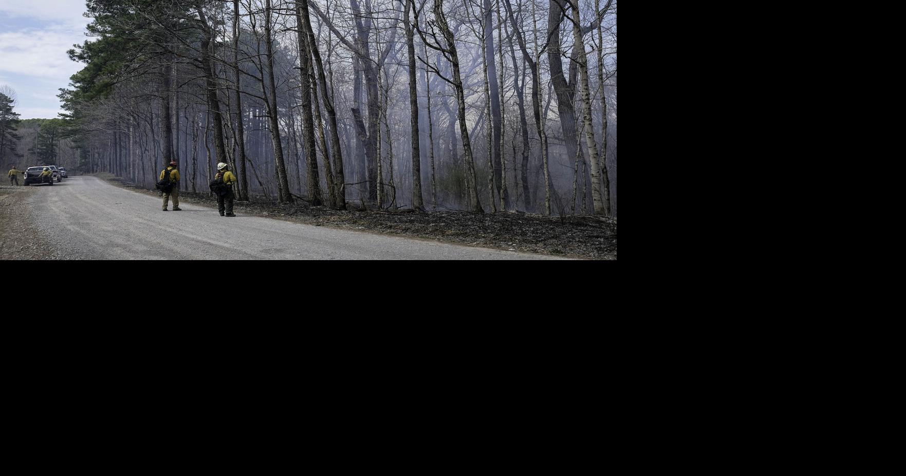 It was a historic season for controlled burns in Southern Illinois ...
