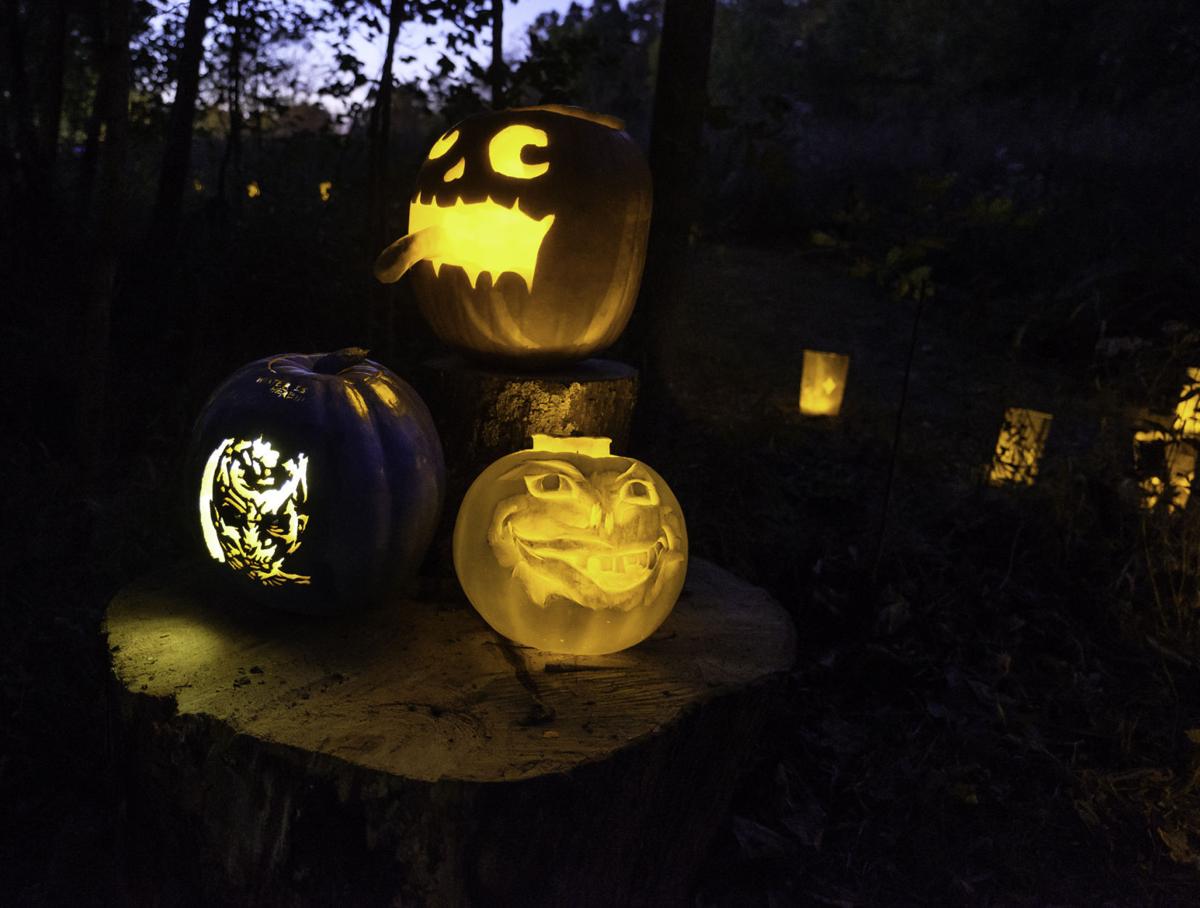Photos: Pumpkin Glow Hike in Carbondale | Local News | thesouthern.com