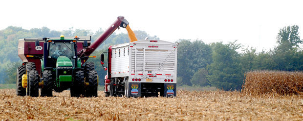Watching costs for a healthy farm | Environment | thesouthern.com