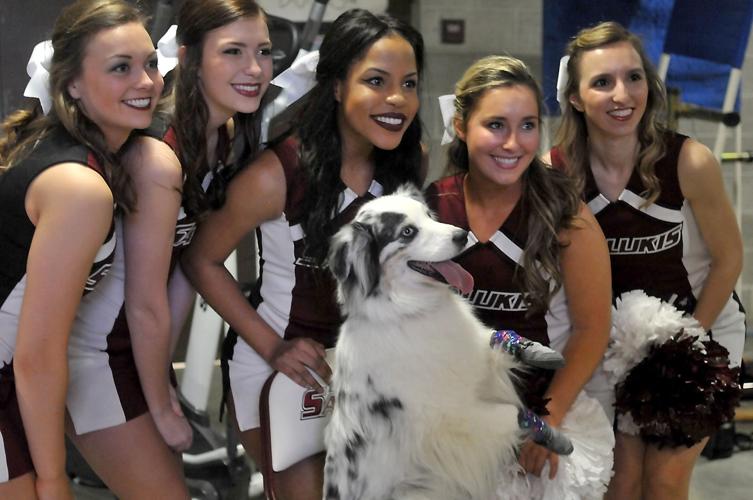 Photos: K9 Crew Show | Photo Galleries | thesouthern.com