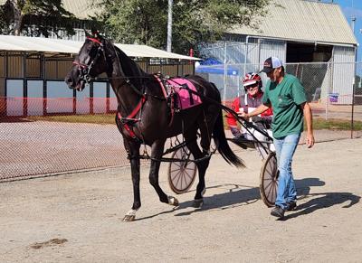 Heat wave gives way to cooler temps at Du Quoin State Fair | Du Quoin ...