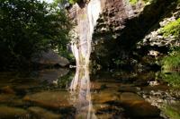 Bell Smith Springs is a slice of heaven on earth | Recreation ...