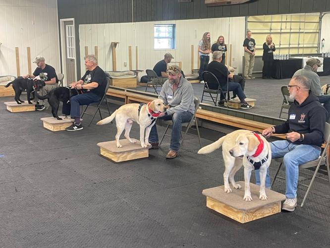 Four veterans matched with service dogs at This Able Veteran | Latest ...