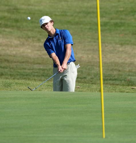 Boys Golf | Anna-Jonesboro wins Marion Invitational | High School ...