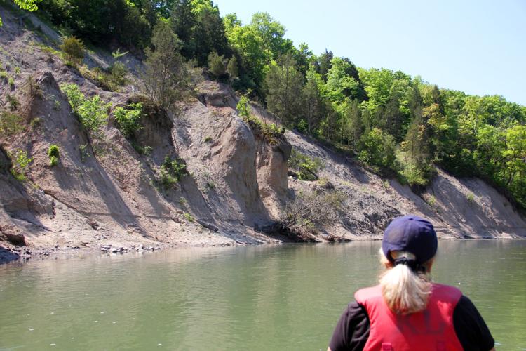 middle fork river il