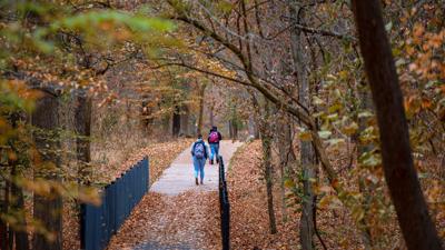SIU will host a tree walk for 170 school children | SIU | thesouthern.com