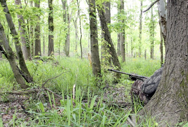 Foiled in the woods: Turkey hunt turns up nothing | Sports ...
