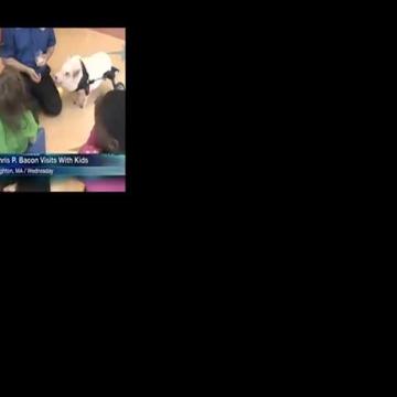 Viral video: WPSD Local 6 anchor cracks up during broadcast at Chris P ...