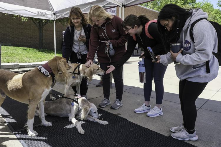 SIU launches free application for local high schoolers | SIU ...
