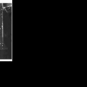 Rapper pleads guilty in credit card fraud case | | thesouthern.com