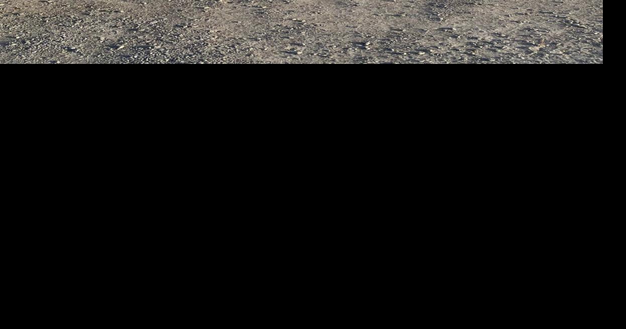 Southern Illinois hosts annual pumpkin smash event | Latest Headlines ...