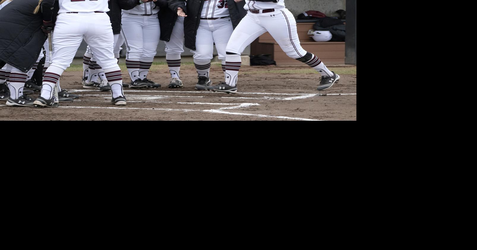 Saluki Softball | SIU's Wood to step back on field | Sports ...