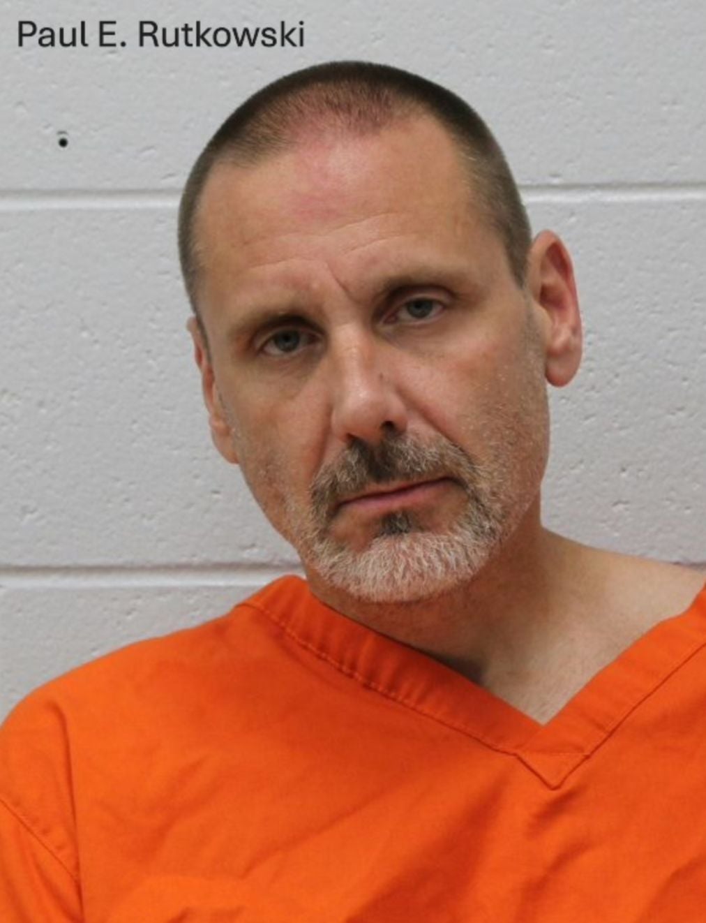 Elkville man arrested for animal cruelty | Latest Headlines ...