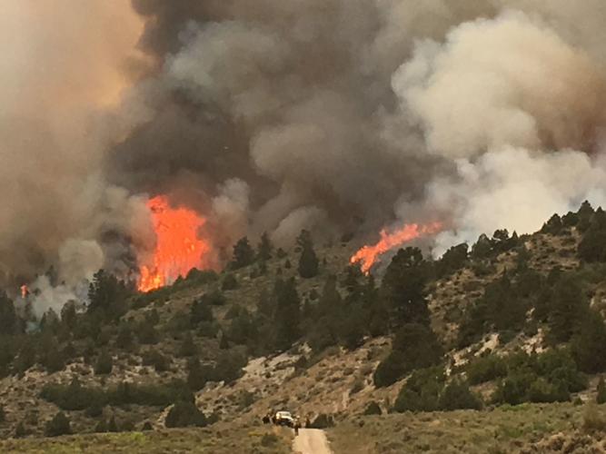 These Southern Illinois foresters just got home from fighting wildfire ...