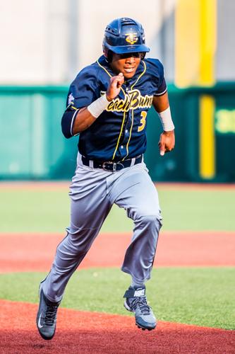 Marino's walk-off blast sends Miners to division title | Sports ...