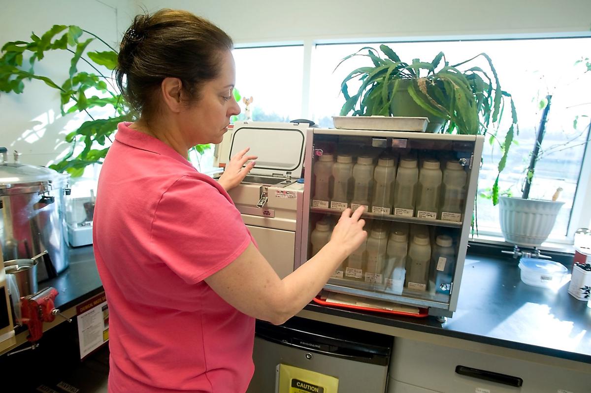 SIU’s Business Incubator Programs hatch successful businesses | Local ...